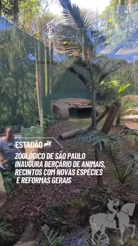Zoológico de São Paulo inaugura berçário de animais, recintos com novas ...
